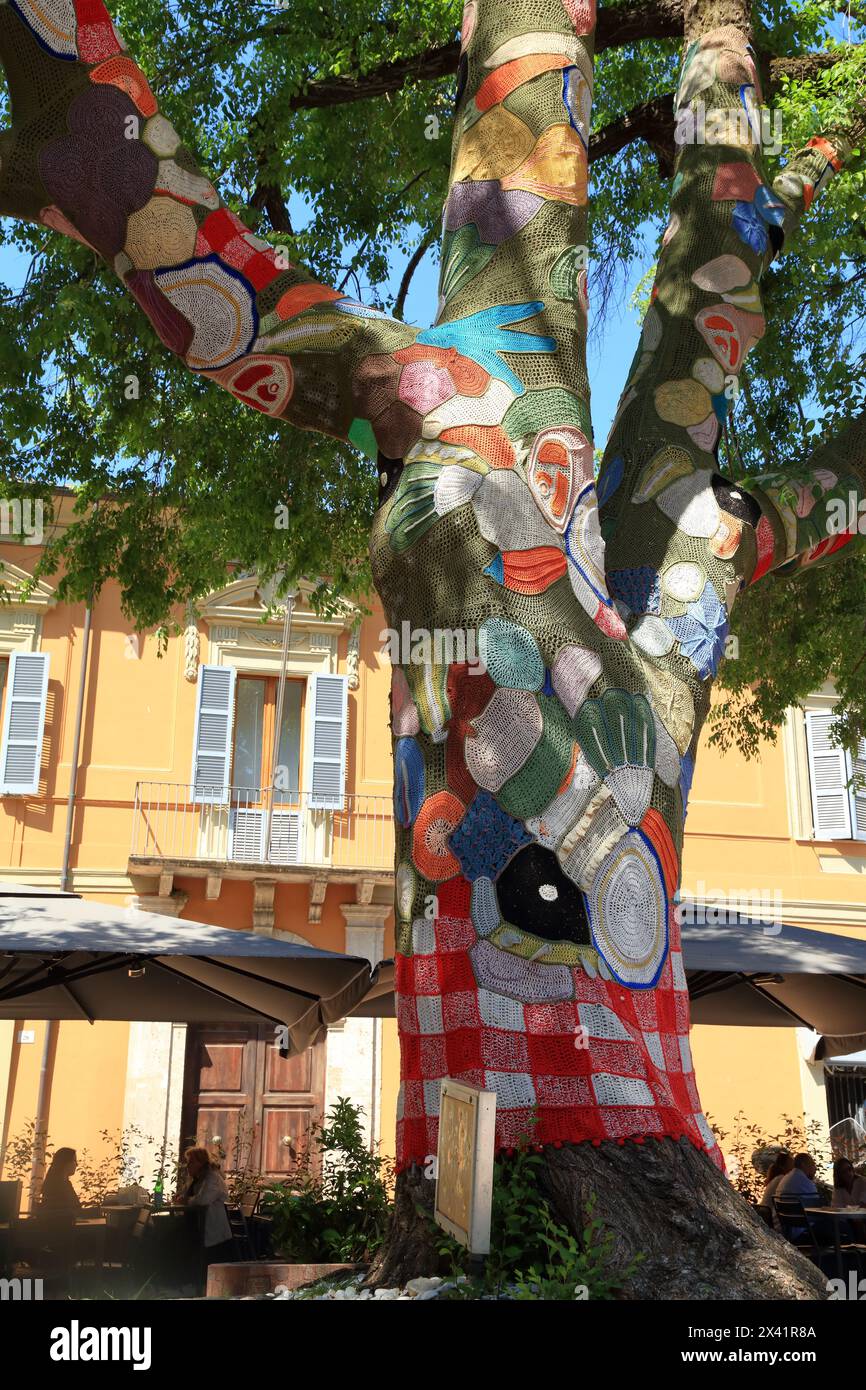 Yarn Bombing. Knitted street art. Wool covered tree, Teramo, Italy ...