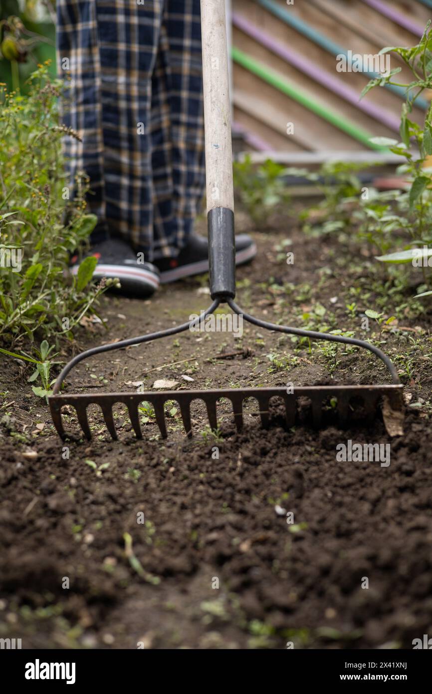 work tools for sowing, objects for harvesting and sowing the ...