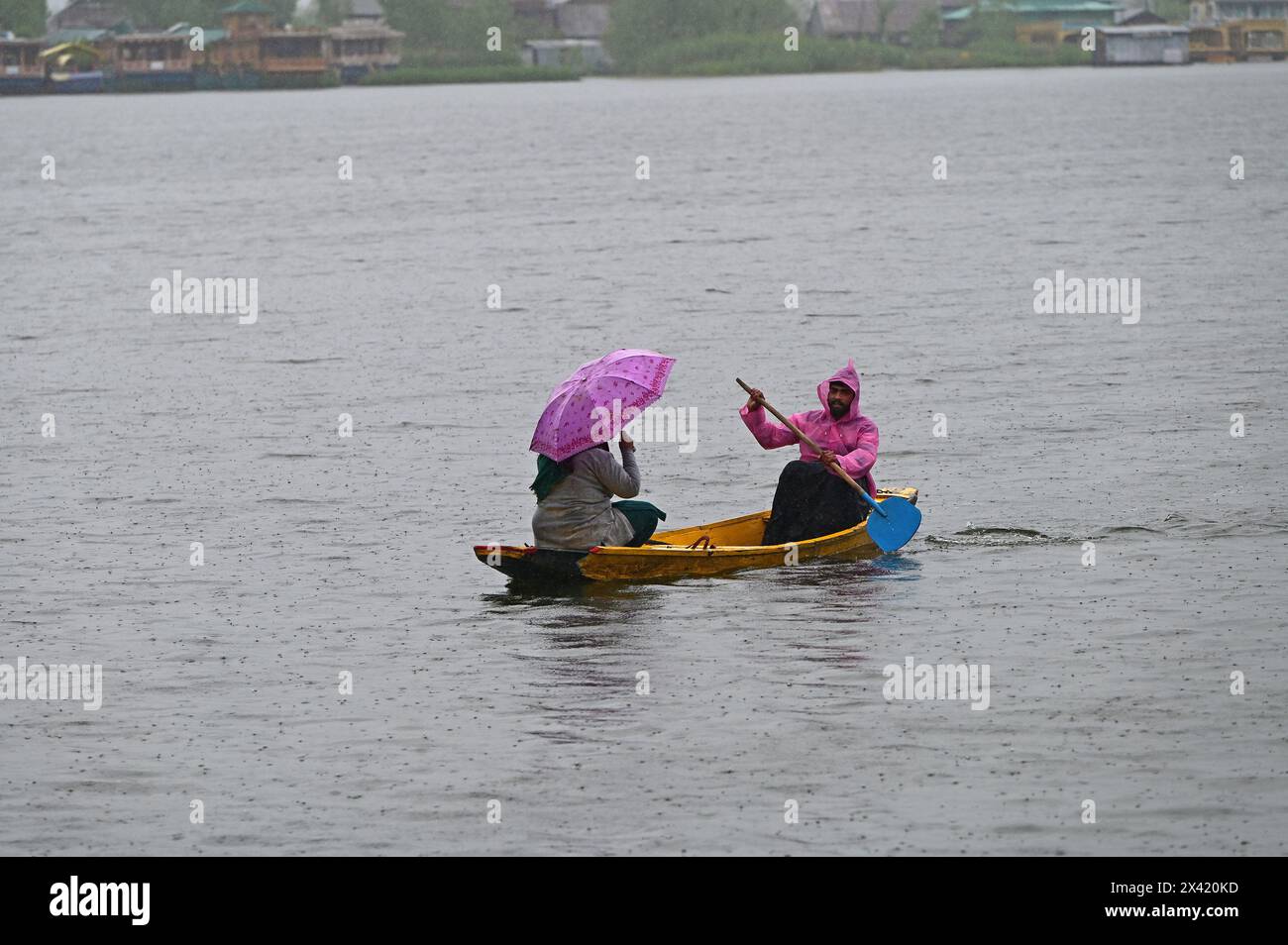 SRINAGAR, INDIA - APRIL 29: A boatman rows a boat during rain in ...