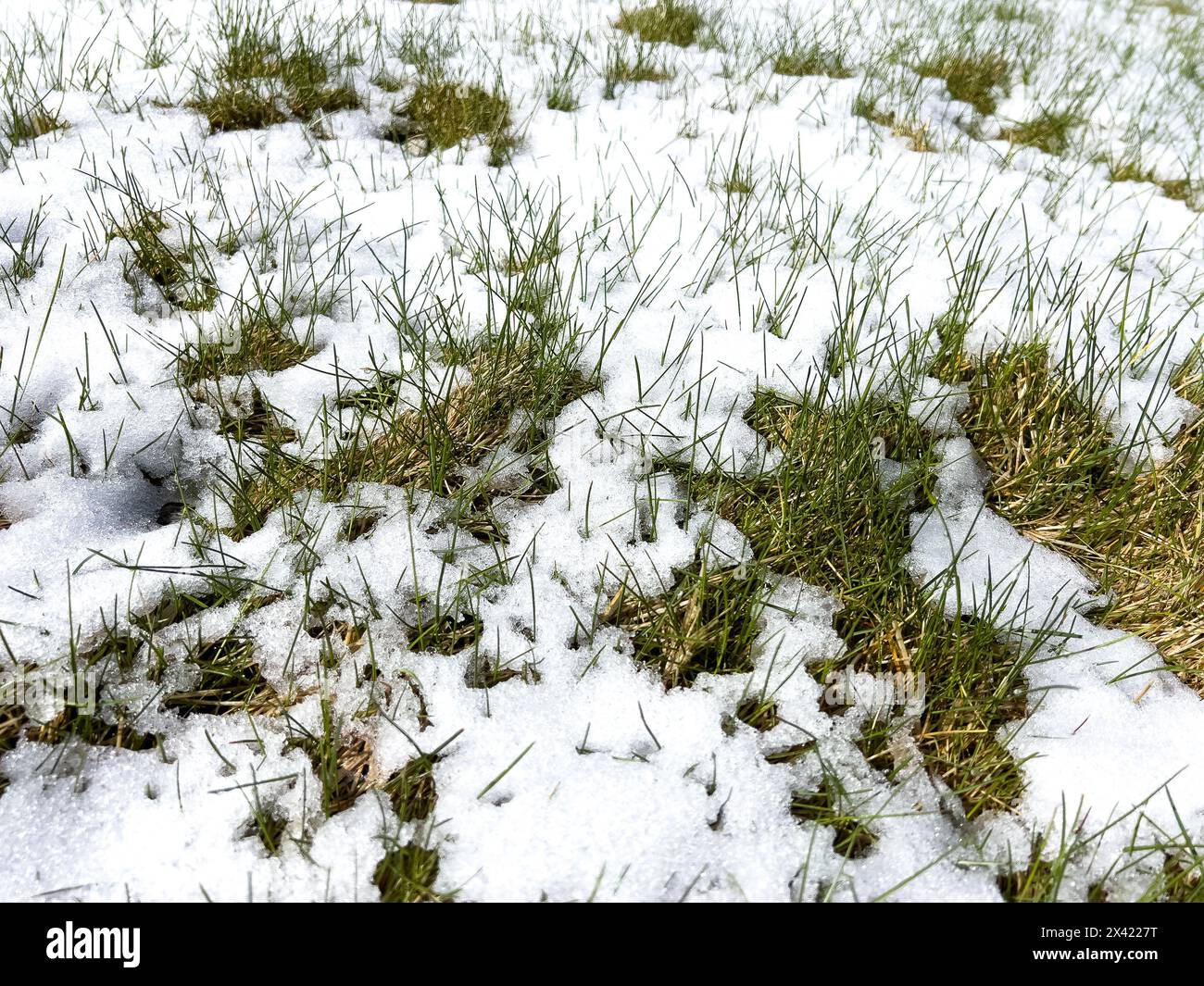 Spring Snow Melting on Suburban Landscaping Gravel and Grass Stock ...