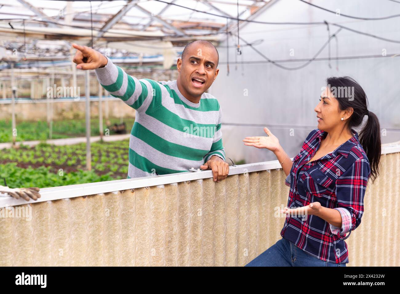 Neighbors talking backyard hi-res stock photography and images - Alamy