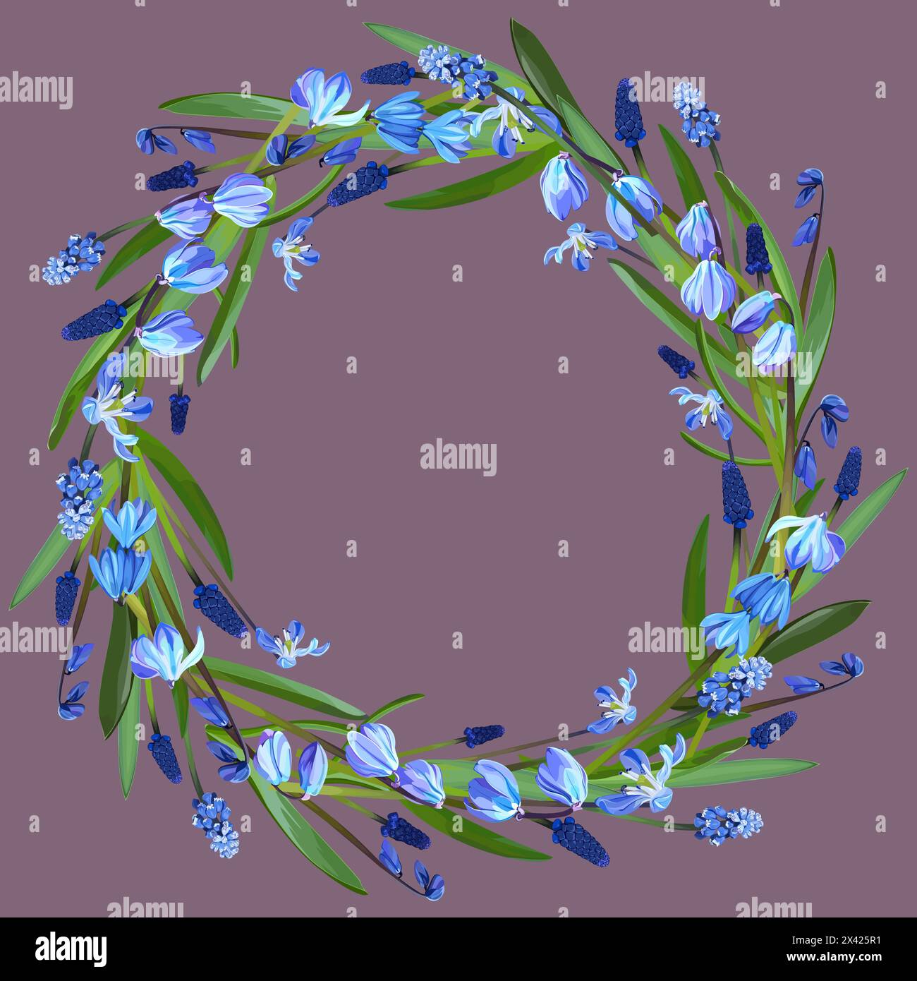 Wreath of snowdrops and muscari on a purple background Stock Vector ...