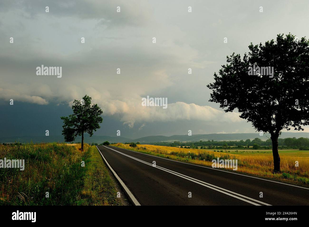 road, travel, way, long weekend, safely, transport, speed limit,highway ...