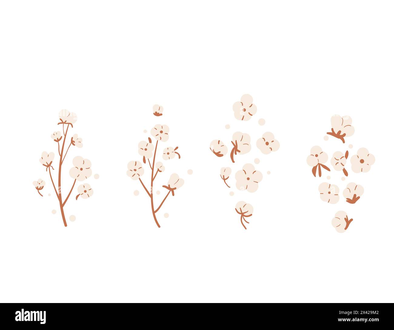 Cotton branches and flowers set isolated on white background. Purity ...