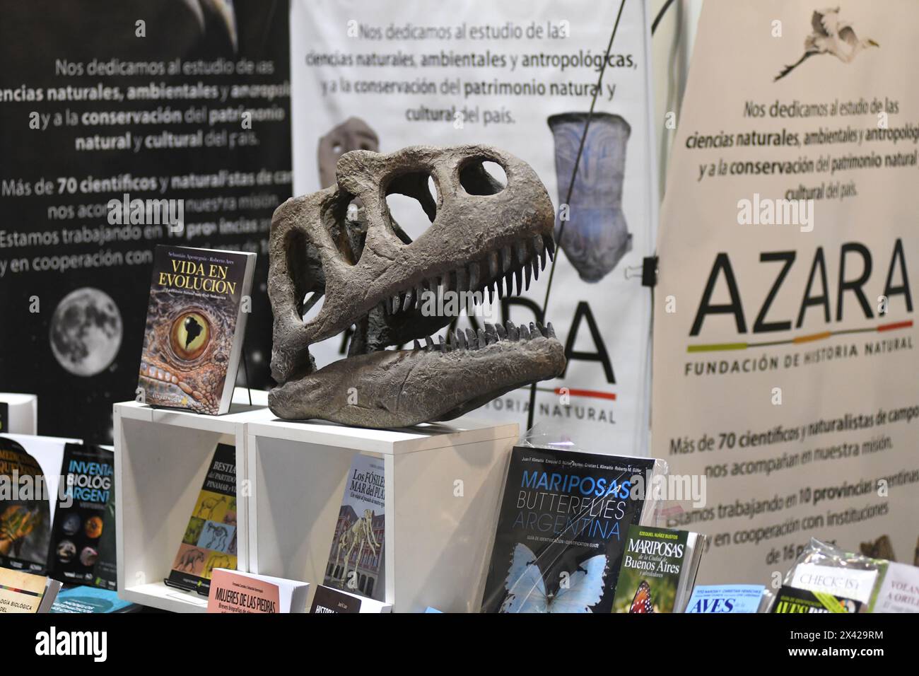 Archeology books stand with a dinosaur skull. 48º Feria Internacional ...