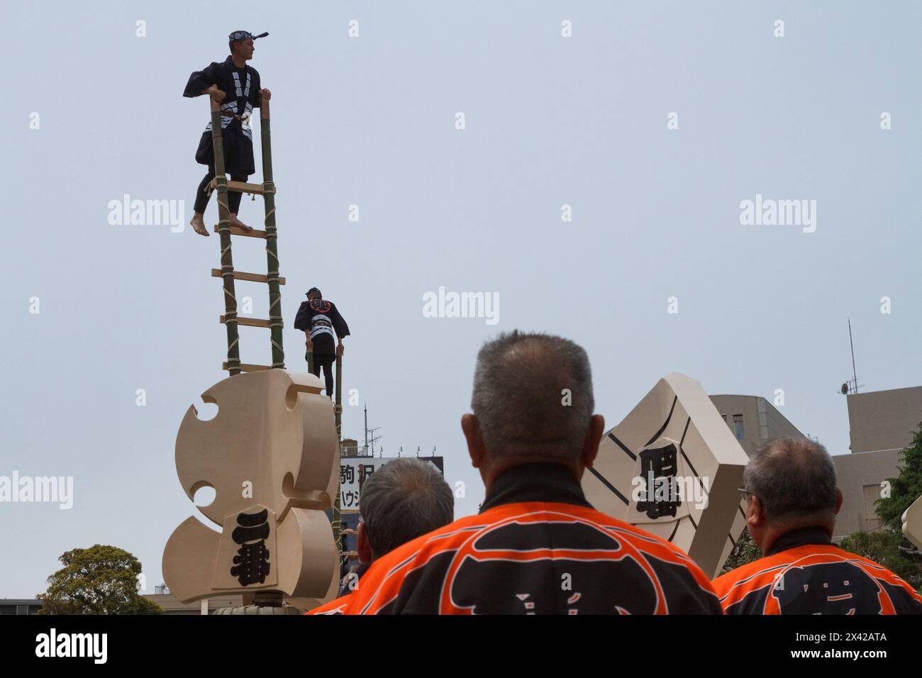 Men wearing festival jackets take part in "hashigo nori" or acrobatic ...