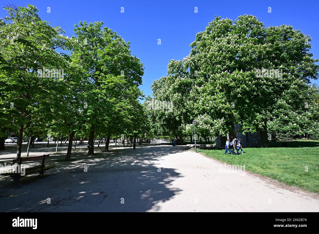 Madrid, Spain - April 13, 2024 - Wide tree shaded walkways of El Retiro ...