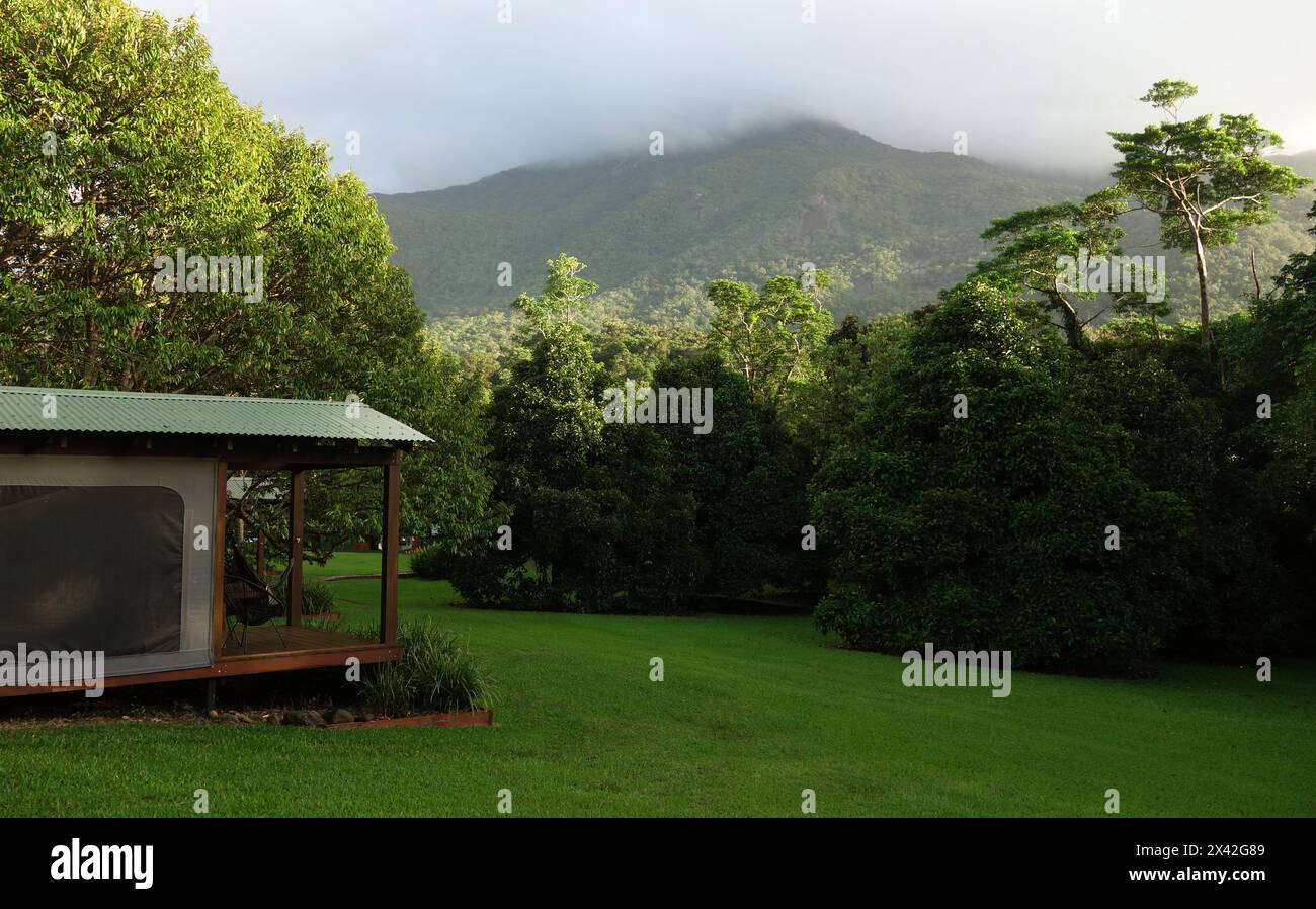 Lush rainforest surrounds of Noah's Creek eco-huts, Noah Creek Nature ...