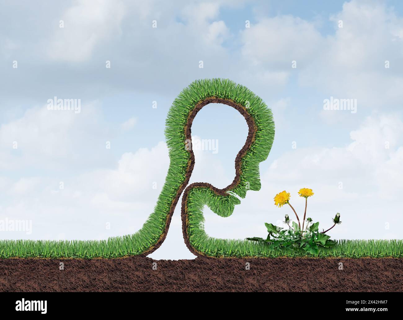 Weed control hi-res stock photography and images - Alamy