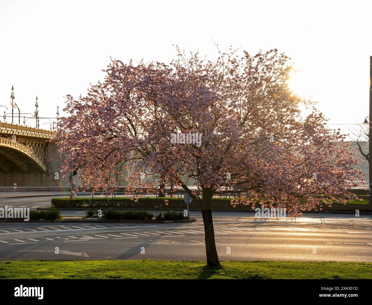 Hid background hi-res stock photography and images - Alamy