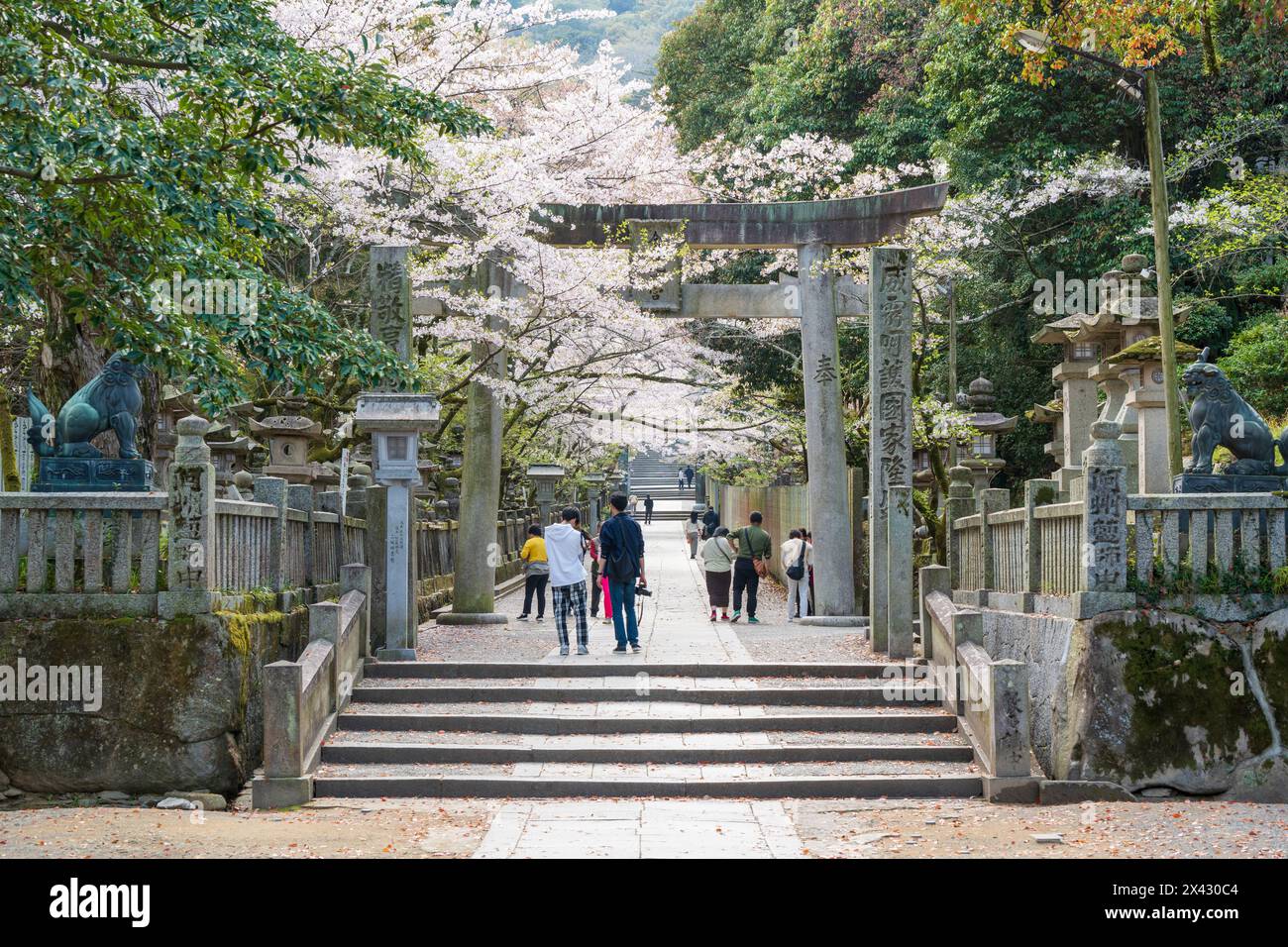 Torii Gate of Konpira Shrine ( aka Konpira-san or Kotohira-Gu ). Cherry ...