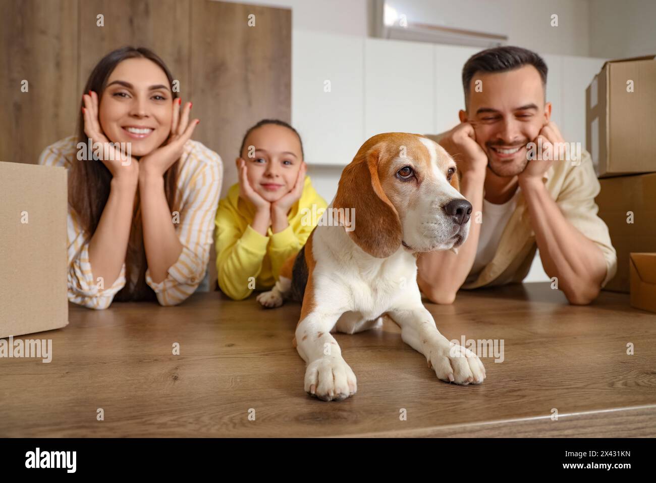 Happy family with Beagle dog at table in kitchen on moving day Stock ...