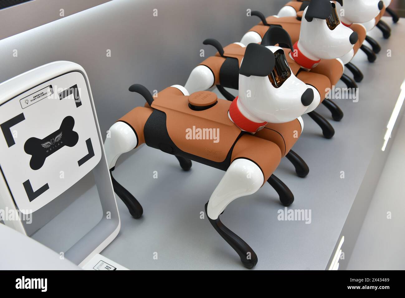 NANJING, CHINA - APRIL 30, 2024 - BabyAlpha robot dog on display at ...