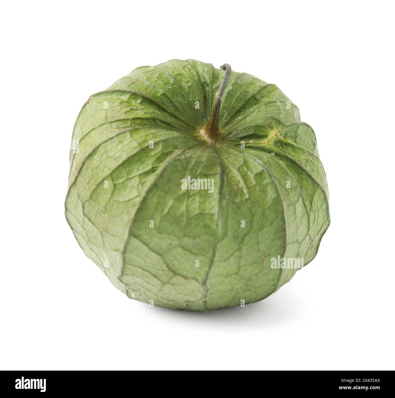 Fresh green tomatillo with husk isolated on white Stock Photo - Alamy