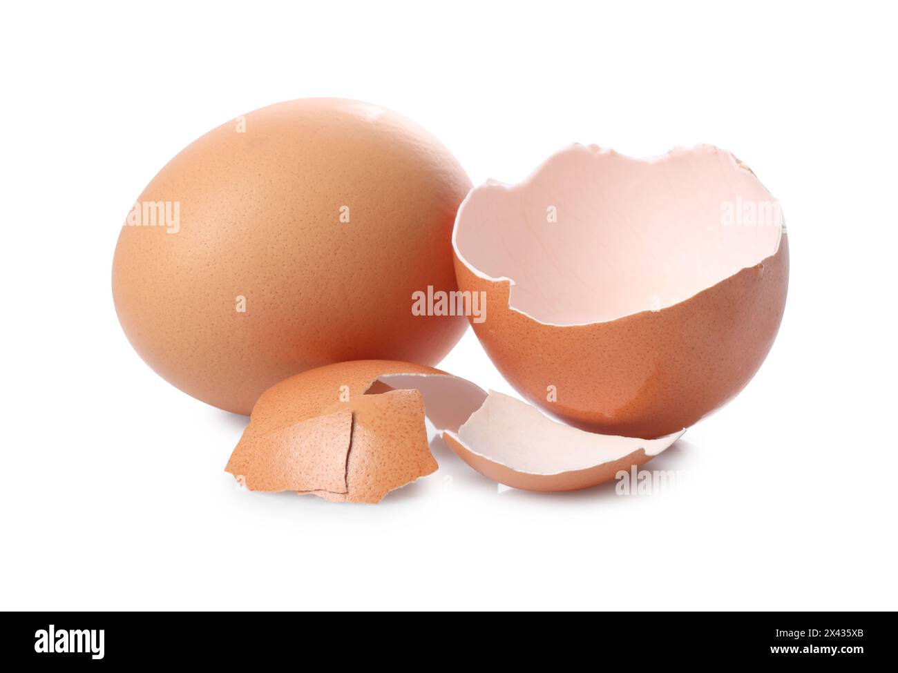 Chicken egg and pieces of shell isolated on white Stock Photo - Alamy