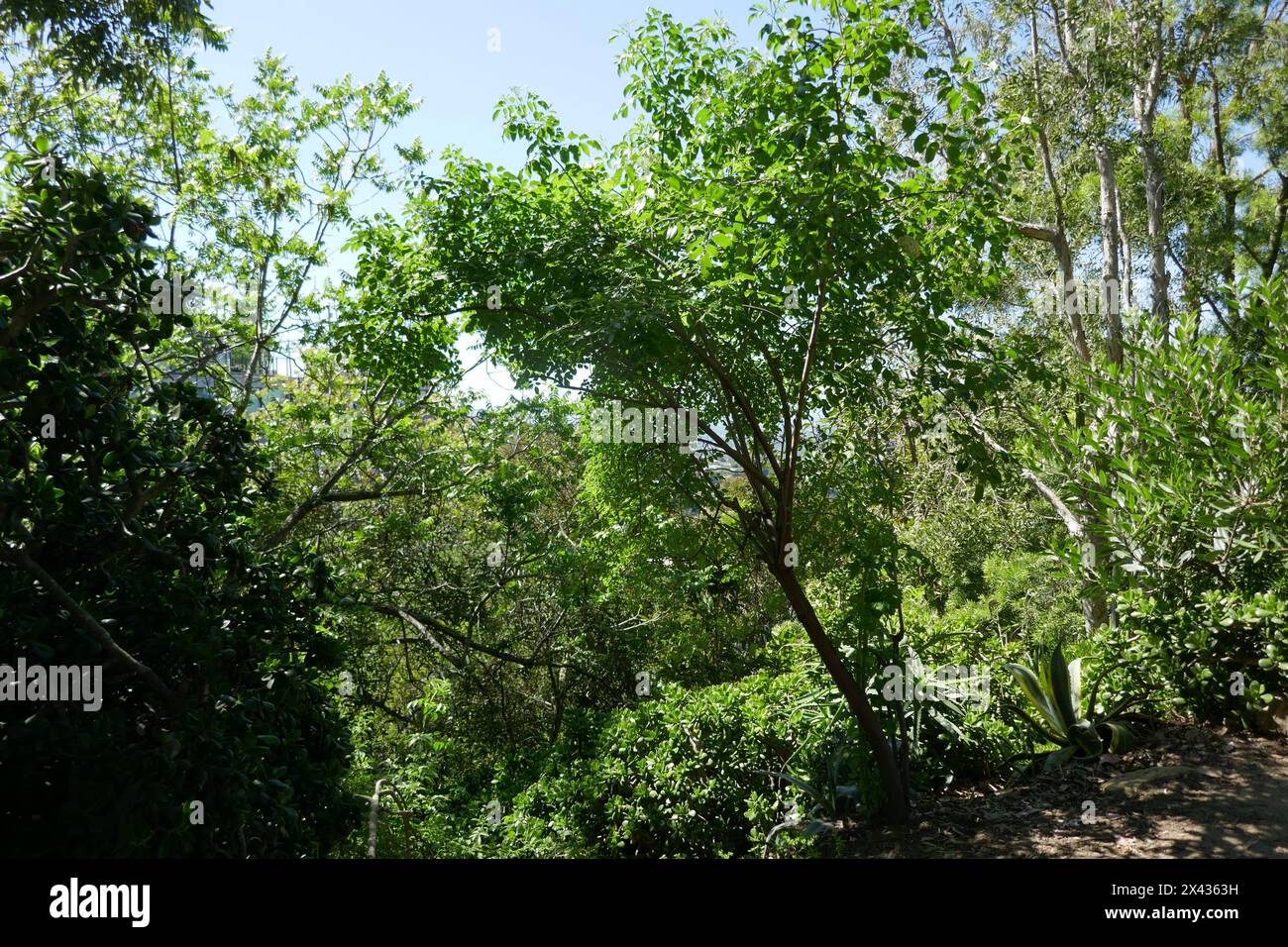 Los Angeles, California, USA 29th April 2024 Director Jack McDermott ...