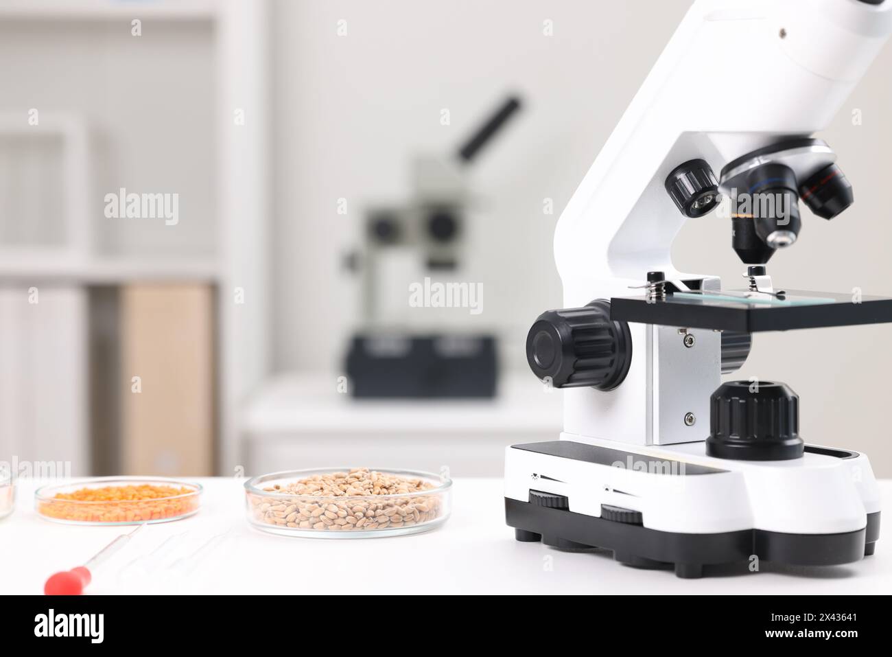 Food Quality Control. Microscope and petri dishes with different ...