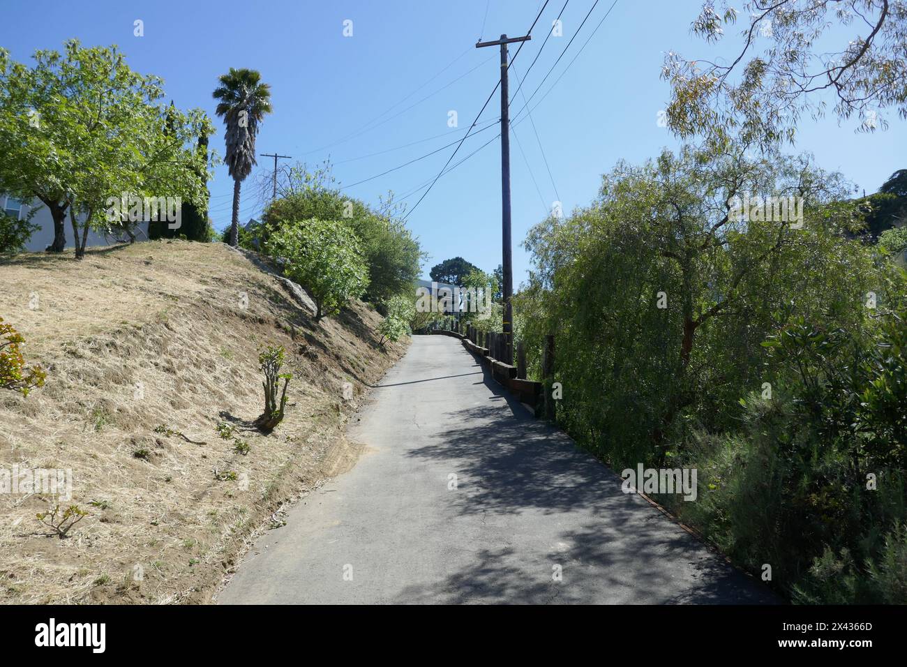 Los Angeles, California, USA 29th April 2024 Director Jack McDermott Former Home/house Location ...