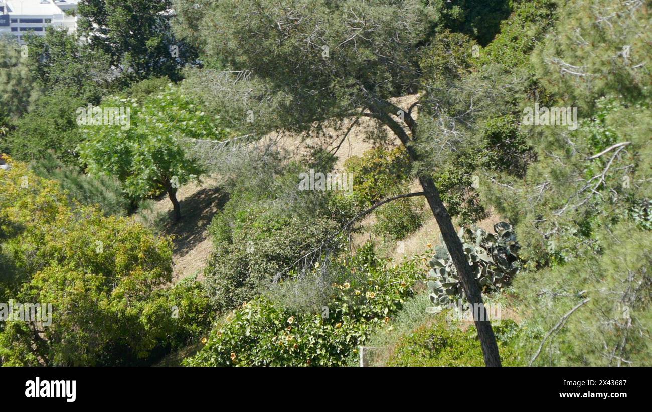 Los Angeles, California, USA 29th April 2024 Director Jack McDermott Former Home/house Location ...