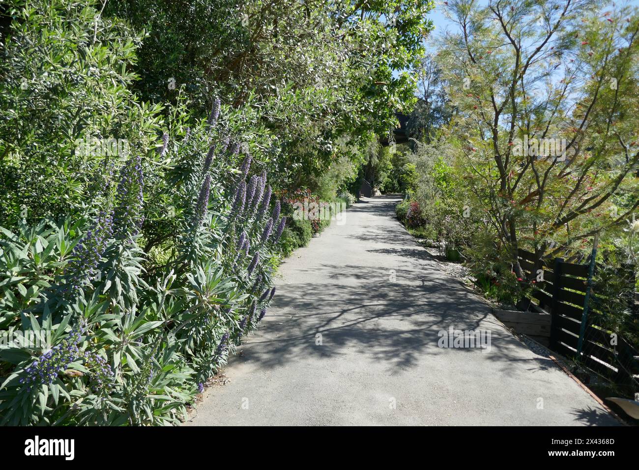 Los Angeles, California, USA 29th April 2024 Director Jack McDermott ...