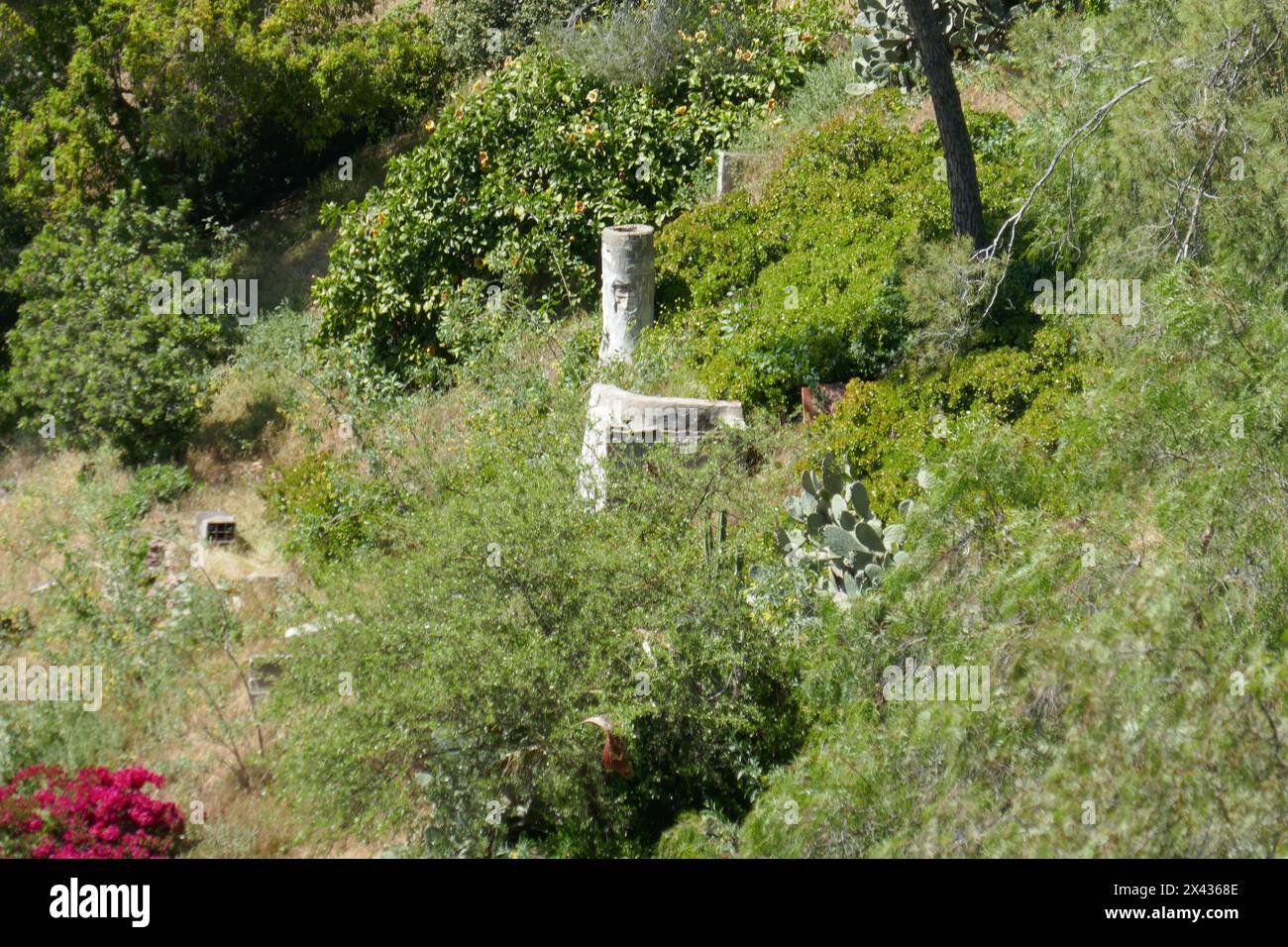 Los Angeles, California, USA 29th April 2024 Director Jack McDermott ...