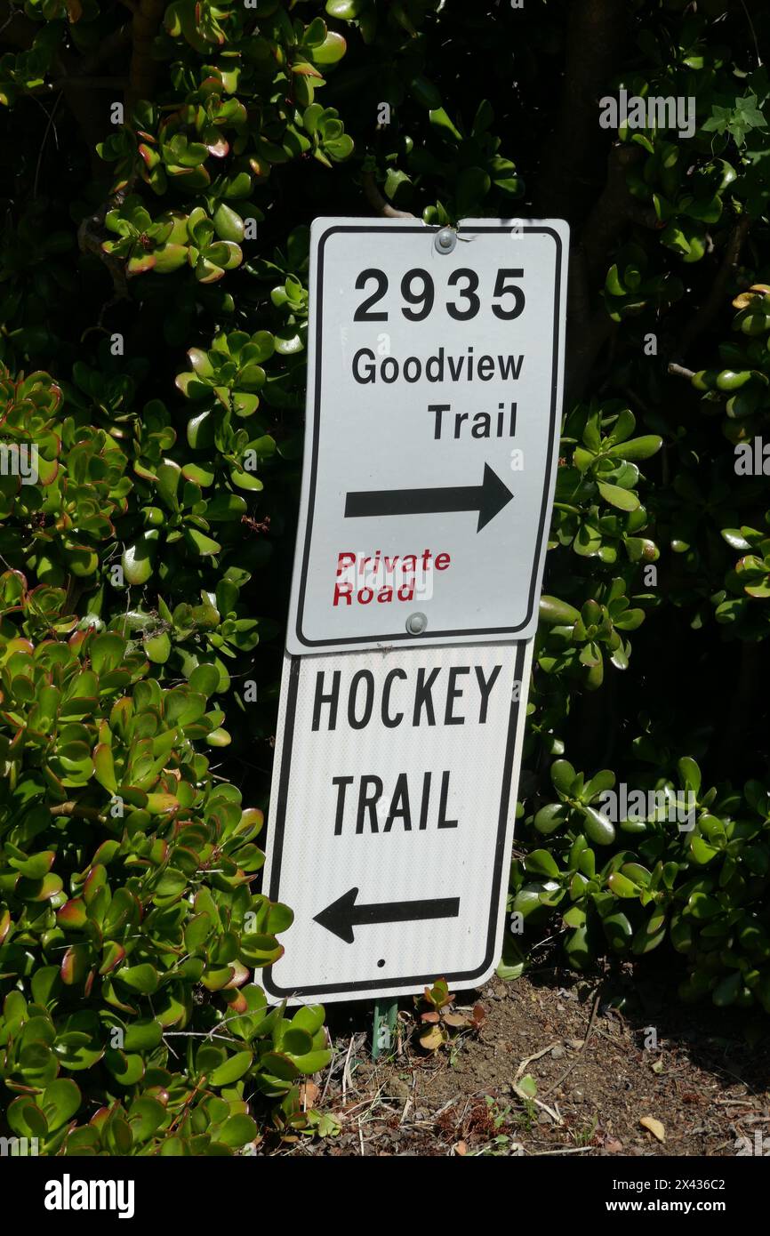 Los Angeles, California, USA 29th April 2024 Director Jack McDermott ...