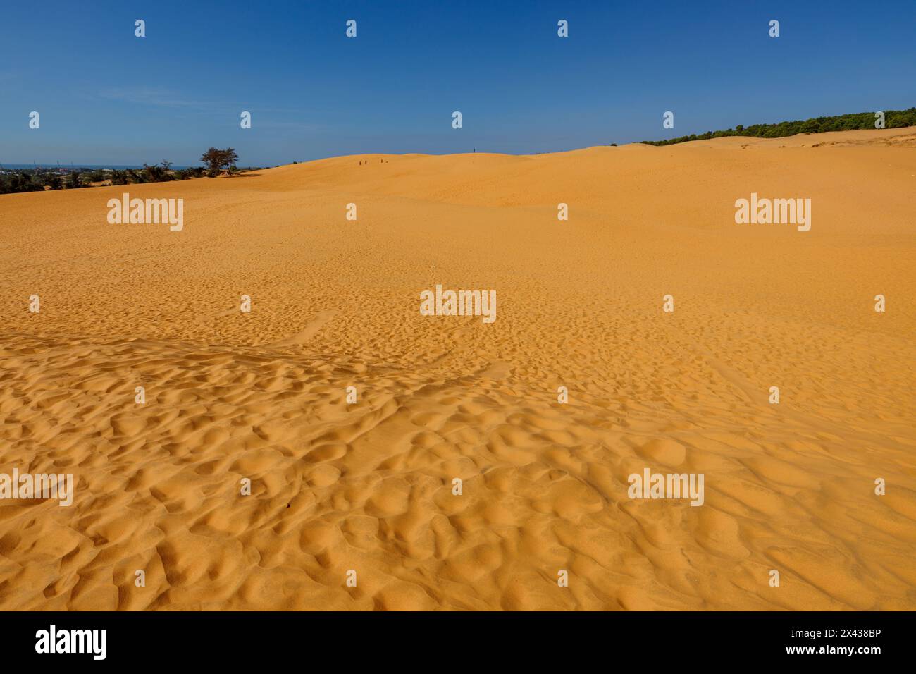 The red dunes of Mui Ne in Vietnam Stock Photo - Alamy