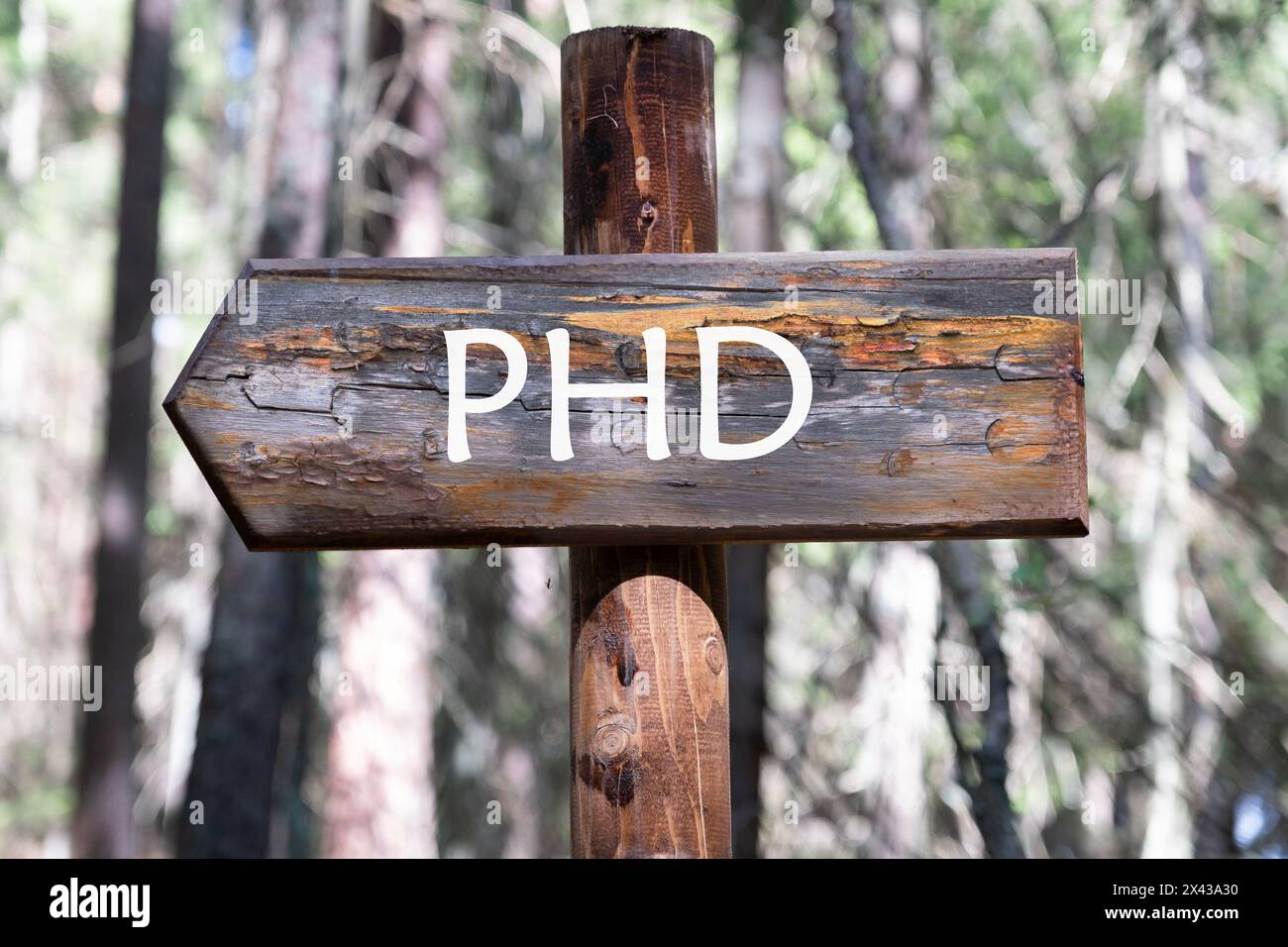 Doctorate of Philosophy concept. PhD, inscription on the wooden ...