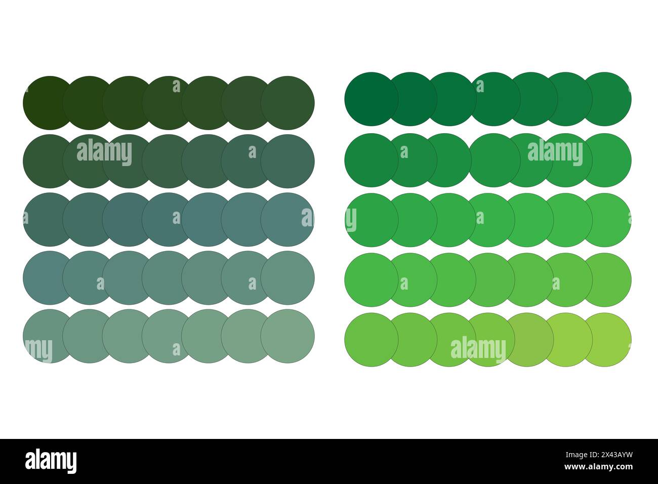 Green Color Spectrum Circles Vector. Gradient tones in circular shapes ...