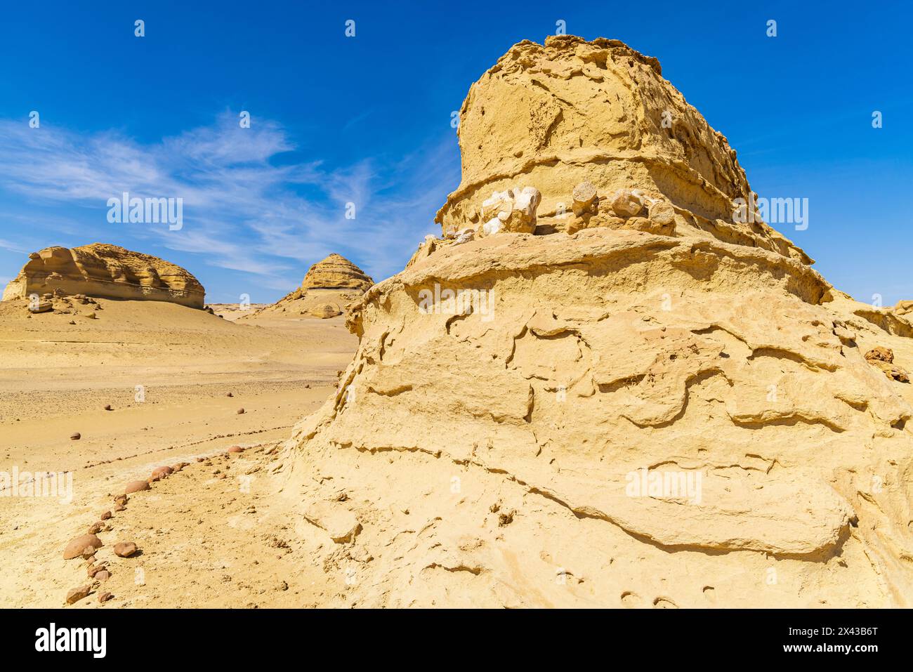 Wadi al Hitan, Faiyum, Egypt. Whale fossil on an eroded bluff along the ...
