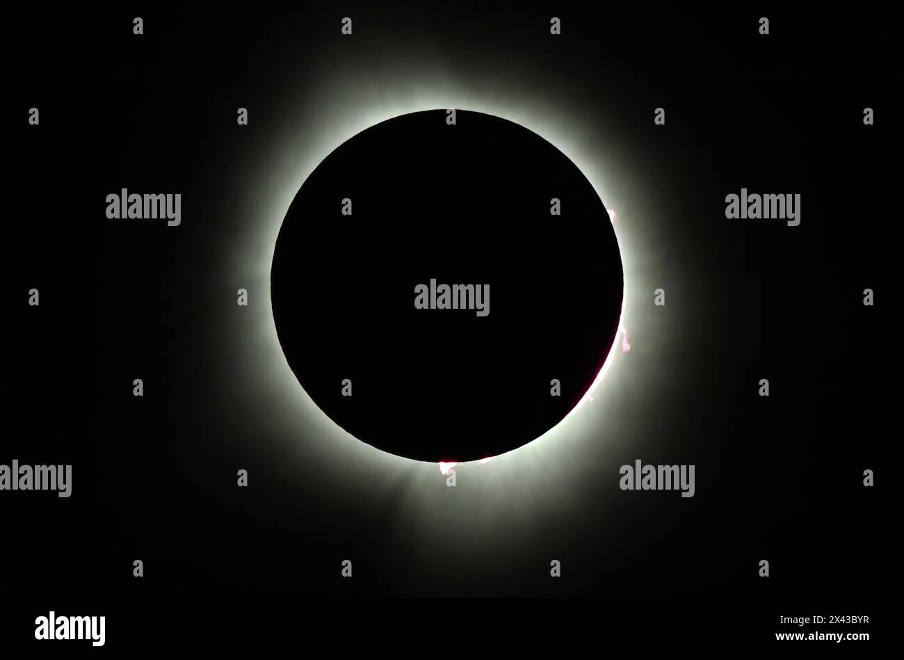 the corona at totality of the april 9, 2024, total solar eclipse as ...