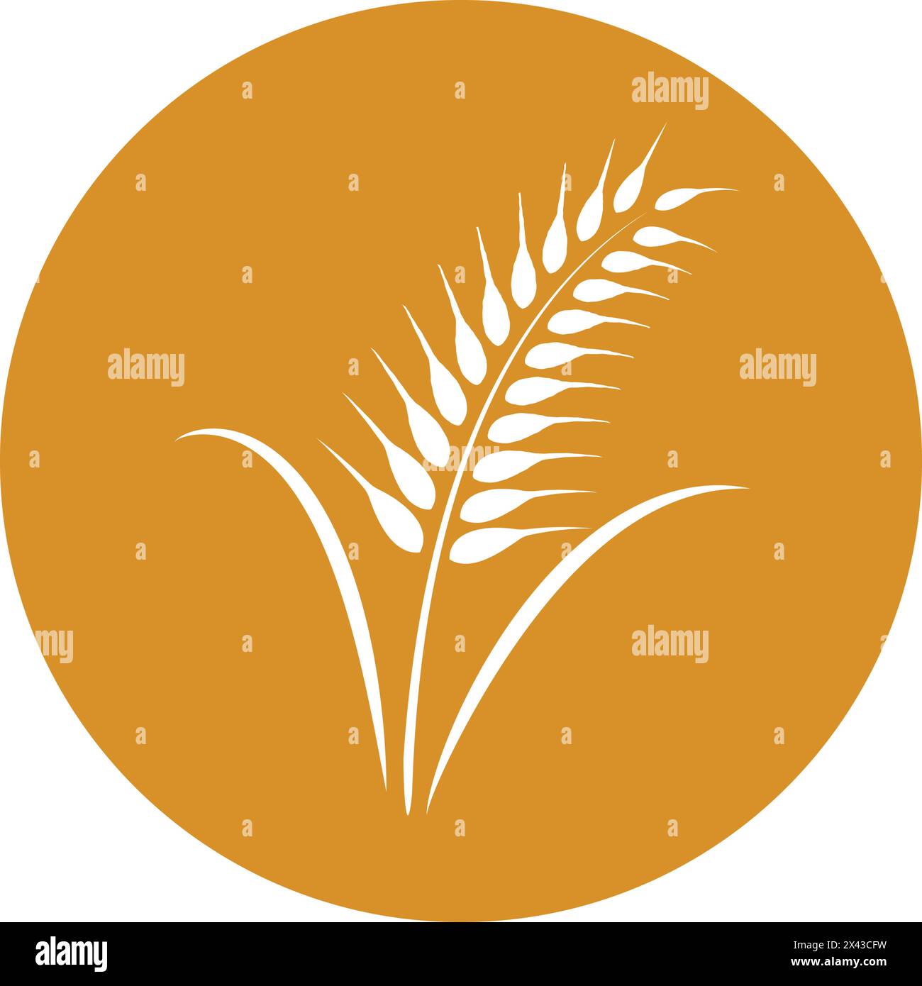 Wheat grain emblem vector hi-res stock photography and images - Alamy