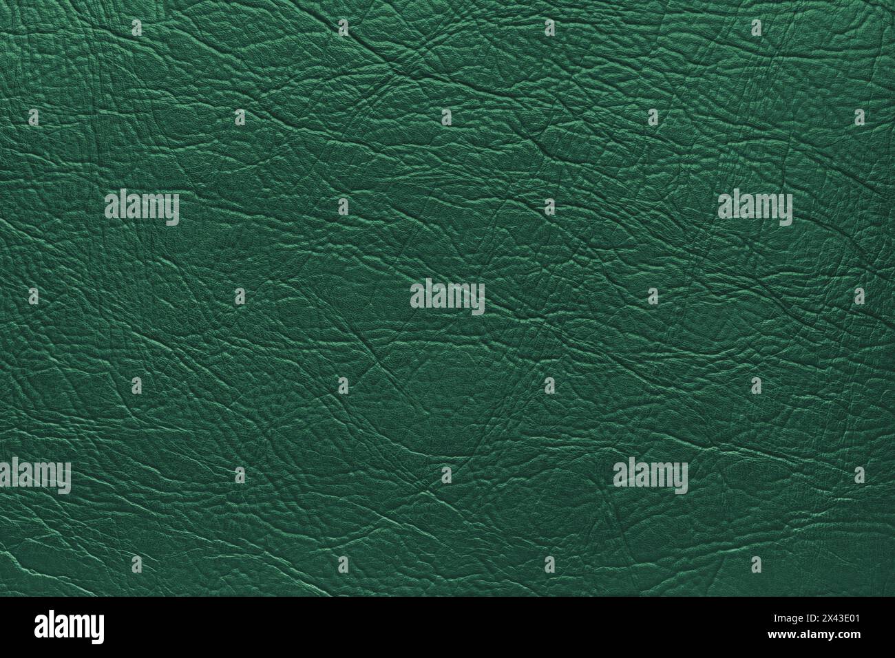 Genuine green leather texture, natural animal skin, luxury vintage ...