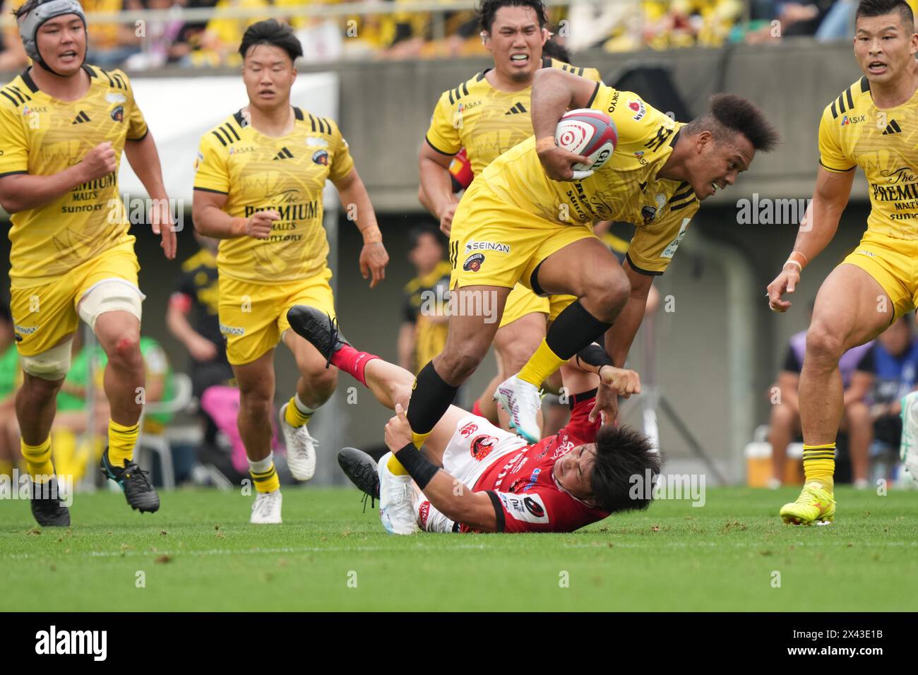 Sungoliath's Kotaro Matsushima during the Japan Rugby League One 2023 ...