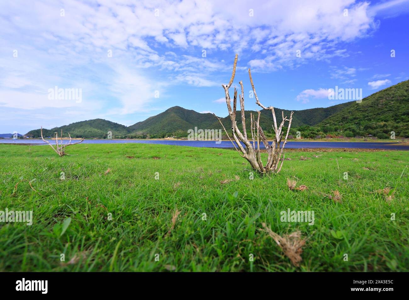 Yang chum hi-res stock photography and images - Alamy