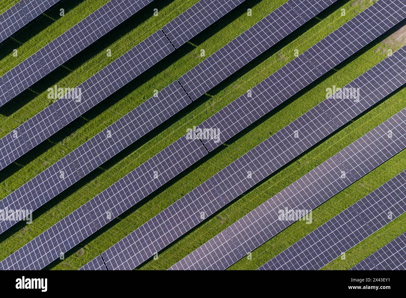 Boxberg, Germany. 30th Apr, 2024. A ground-mounted photovoltaic system ...