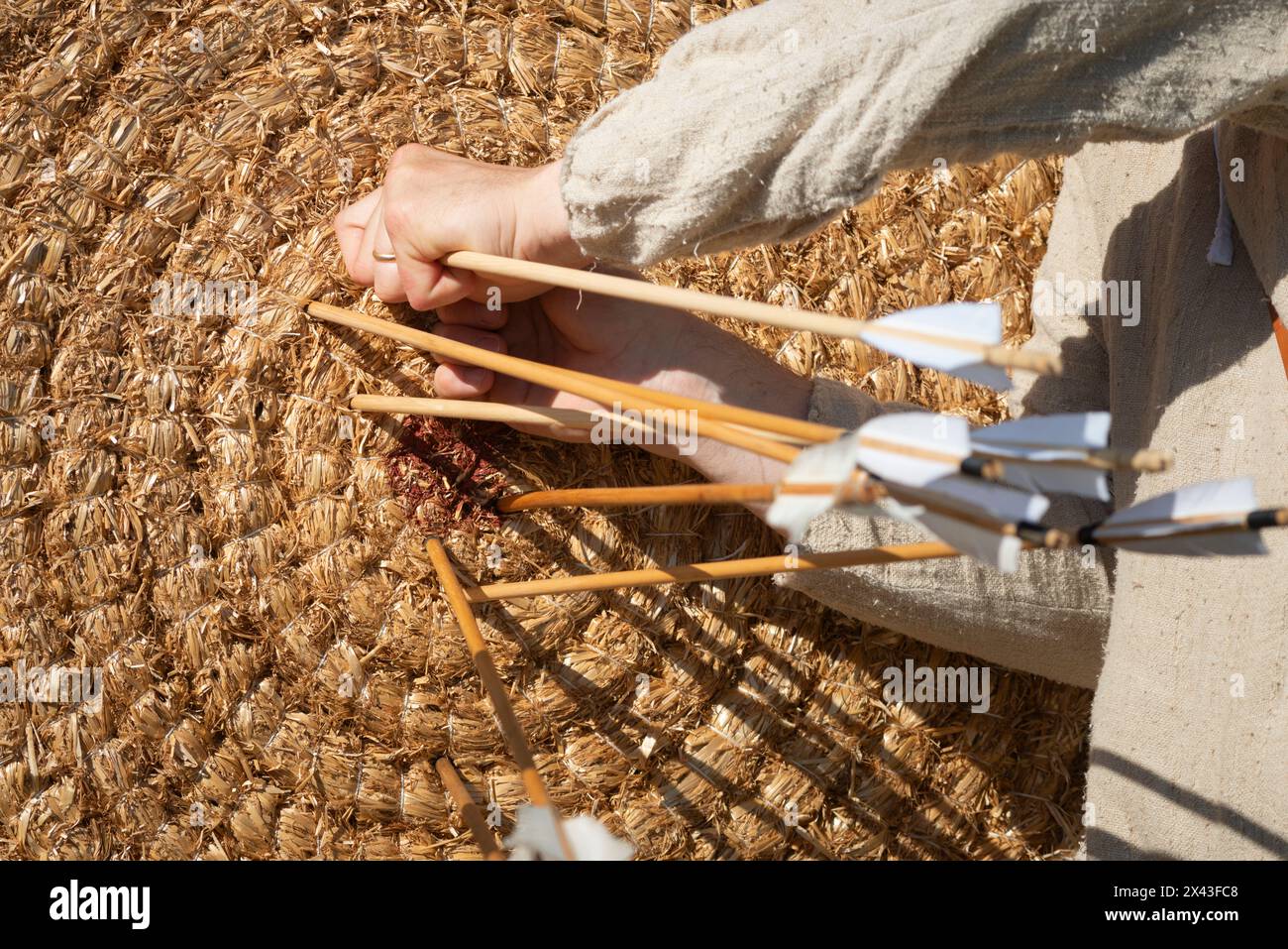 Italy. Lombardy, Reenactment Mediaeval, Archer Takes the Arrow From the ...