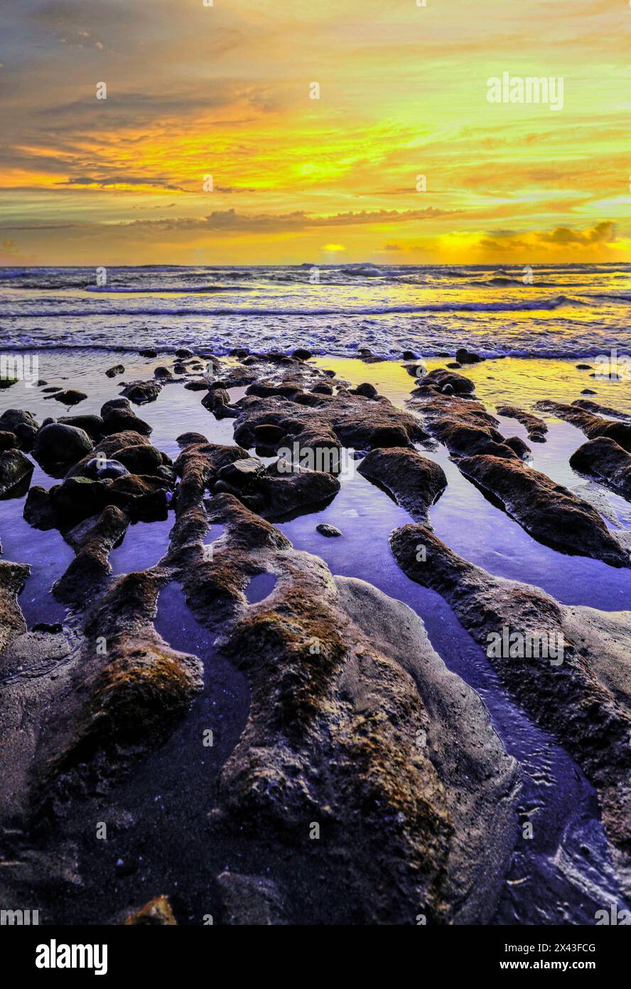 The golden light of the setting sun reflects a gold glow on the beach ...