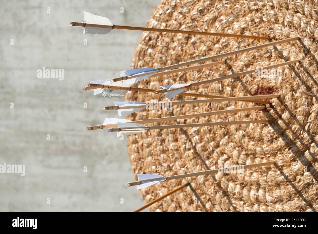 Straw Archery Target With Arrows Stock Photo - Alamy