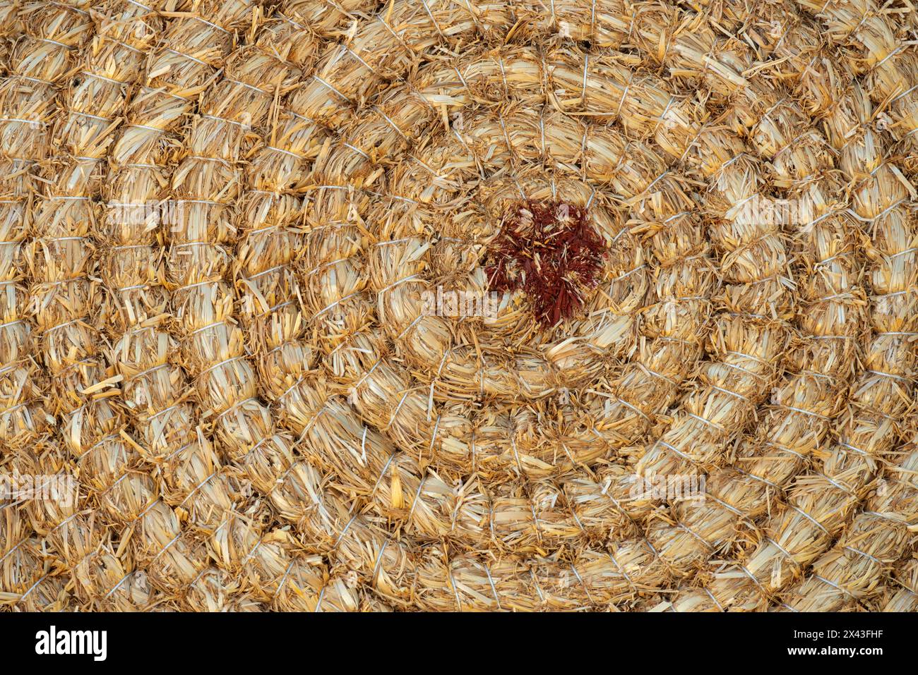 Straw Archery Target Stock Photo - Alamy