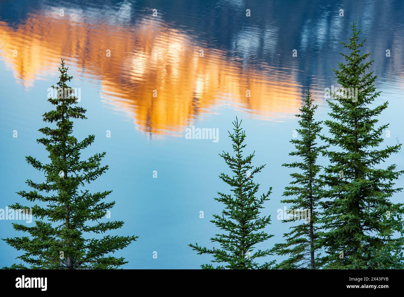 Canada, Alberta, Banff National Park. Peaks of Mt. Rundle reflected in ...