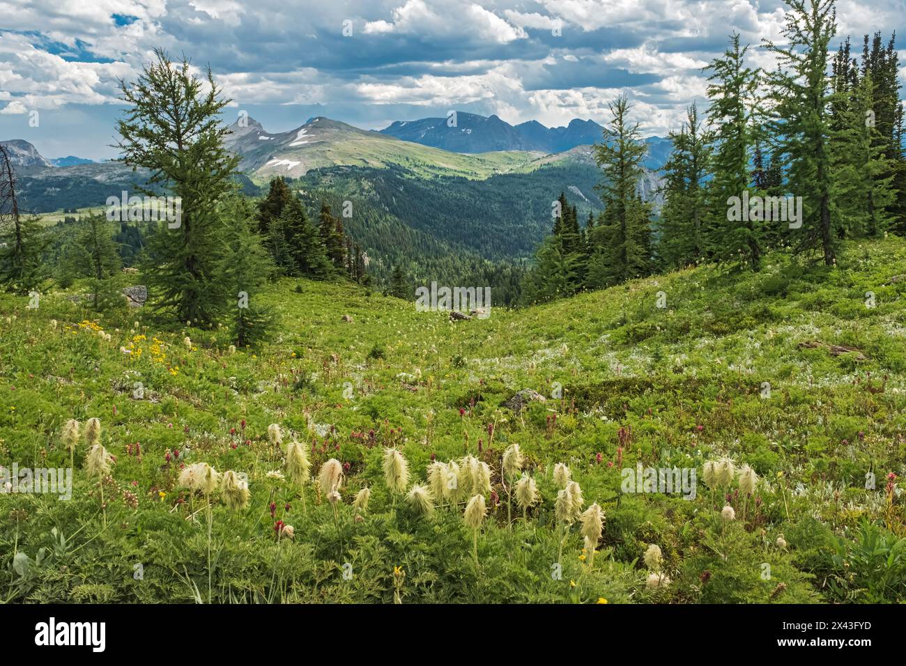Canada, Alberta, Banff National Park. Mountain landscape and western ...