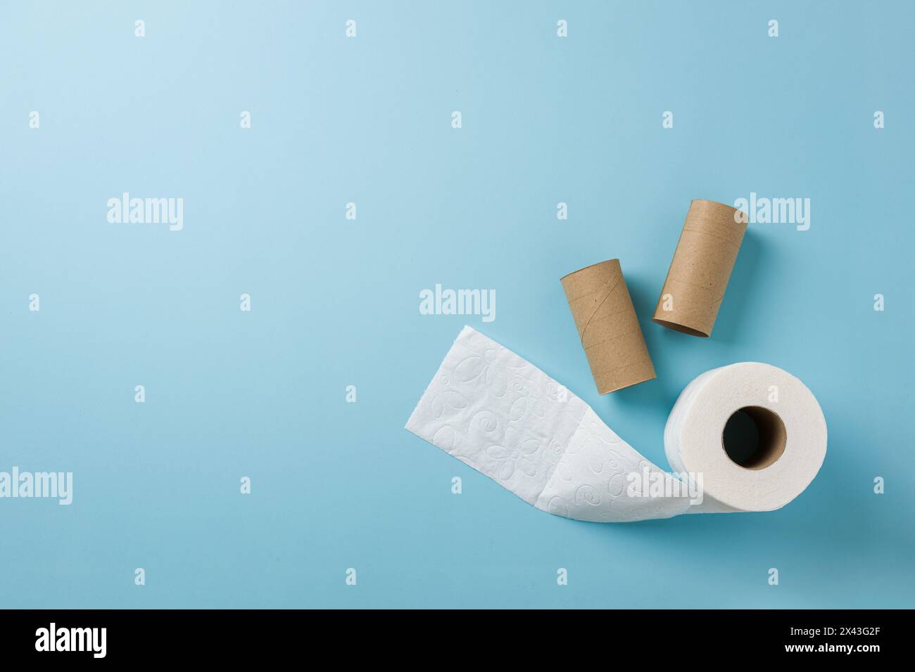 Top view of toilet paper roll on blue background Stock Photo - Alamy