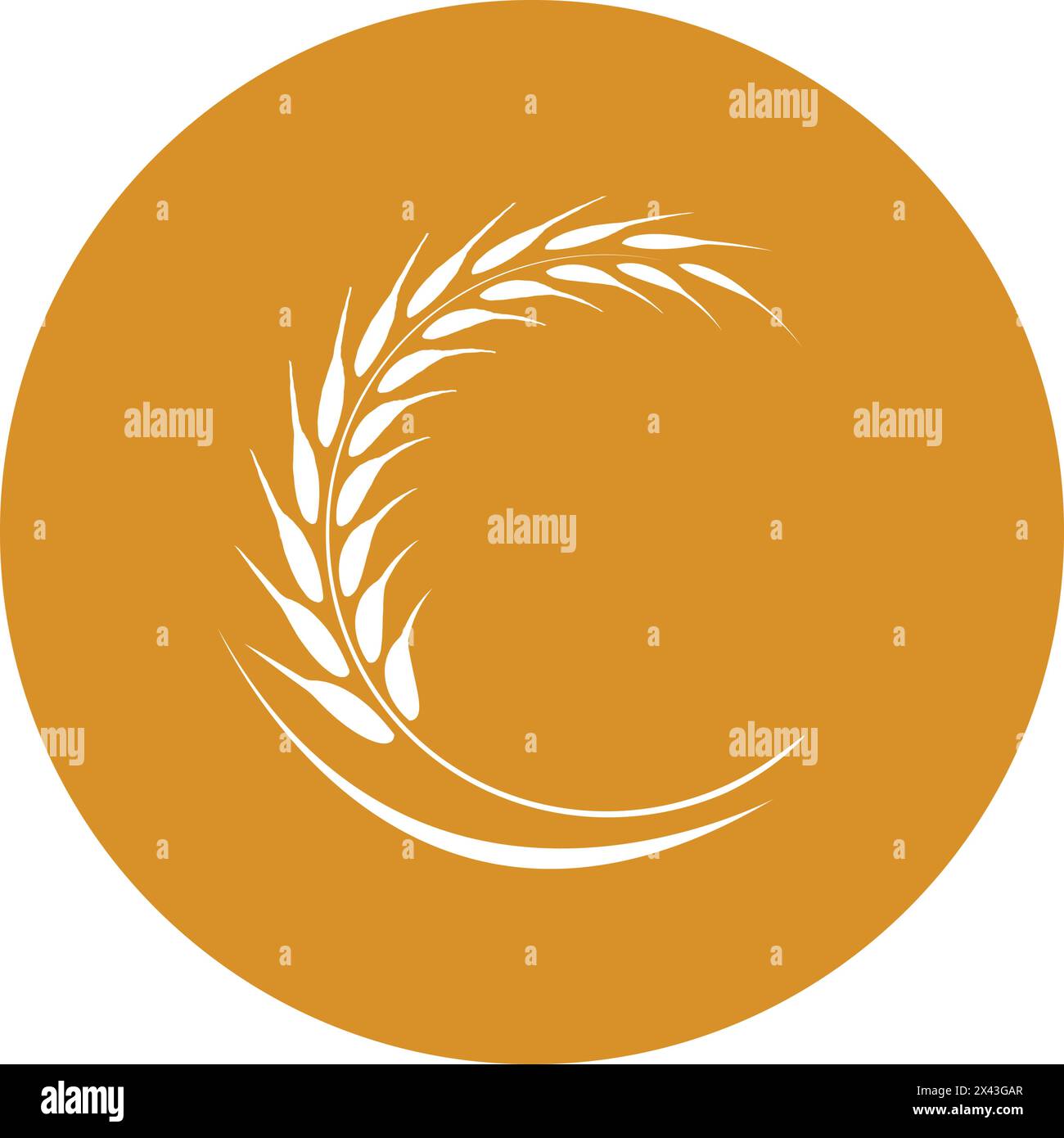 wheat logo vector illustration design Stock Vector Image & Art - Alamy