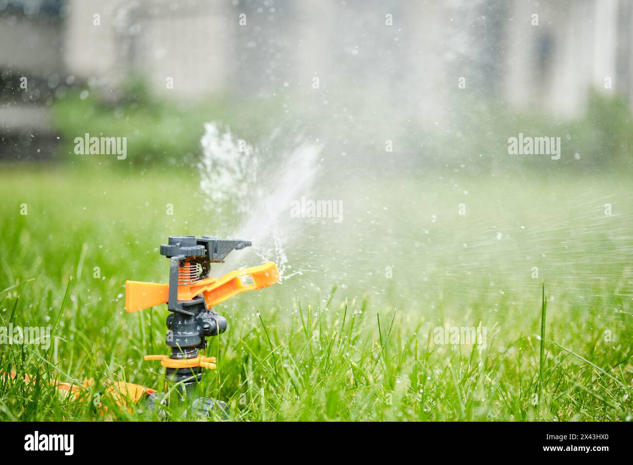 Autonomous automatic garden watering system closeup Stock Photo - Alamy