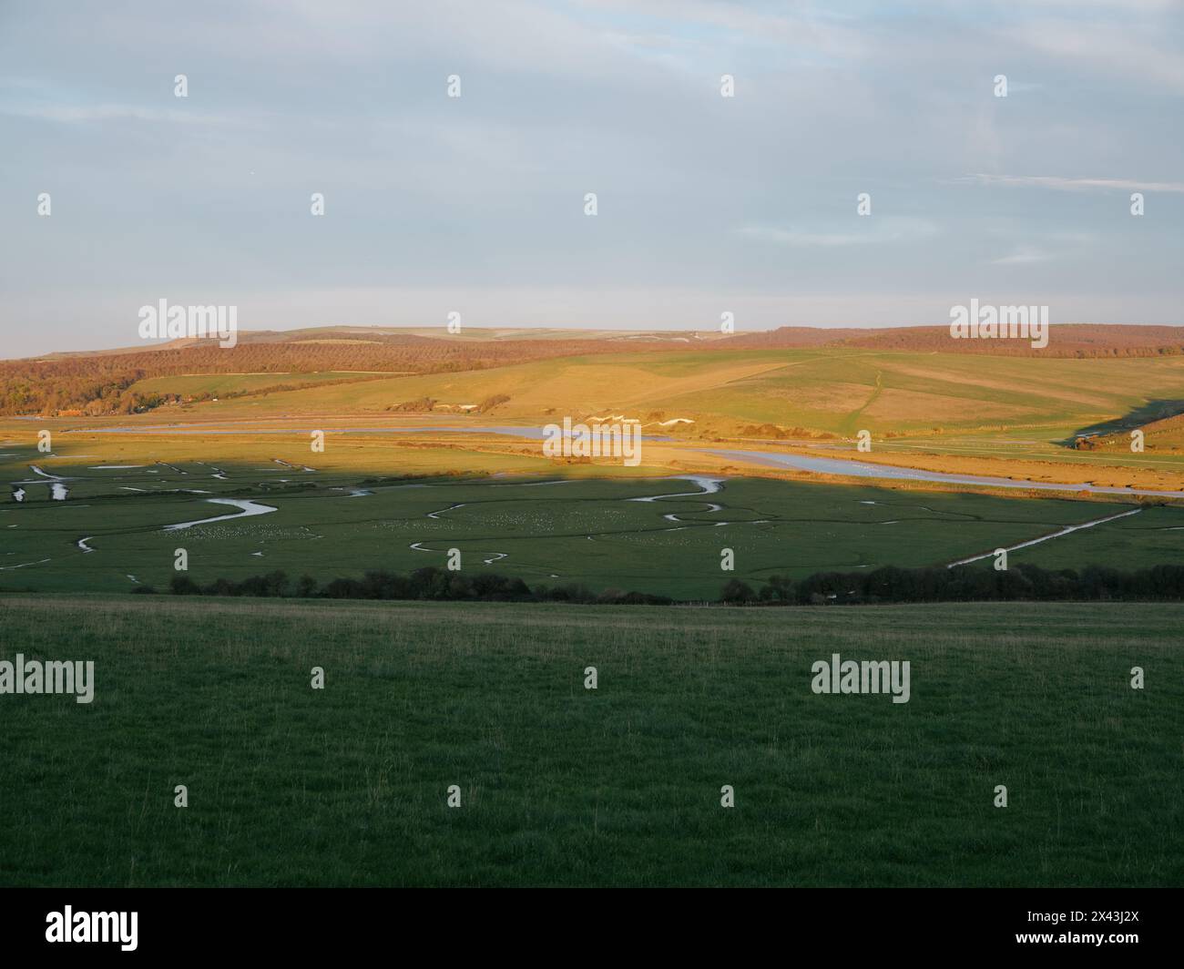Cuckmere Haven and river flood plain landscape with sheep grazing in ...