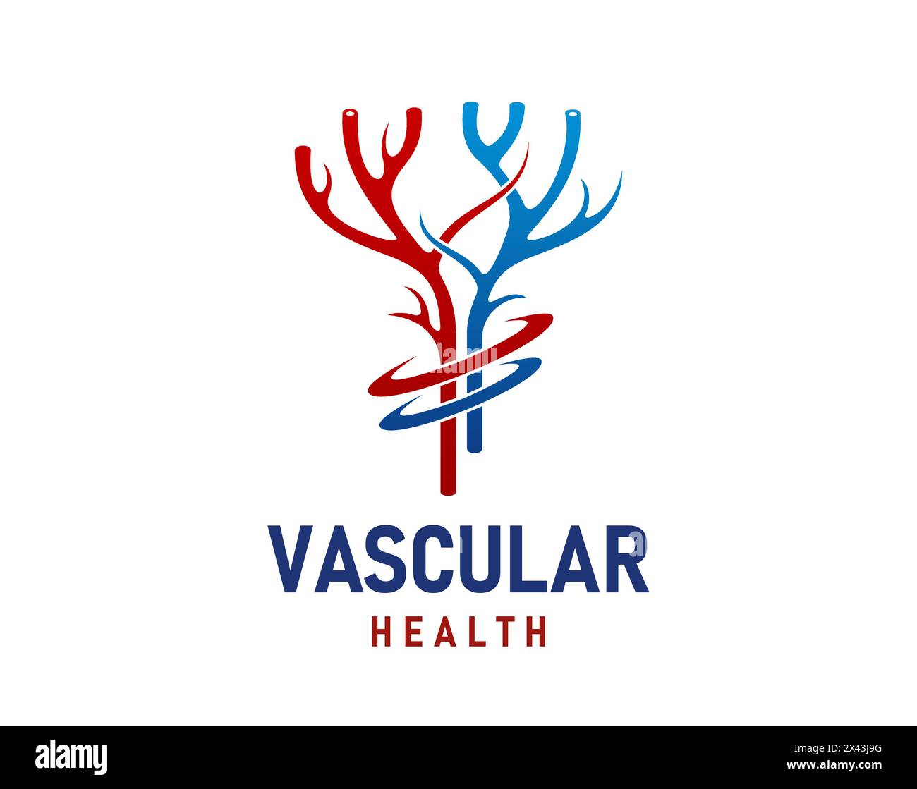 Vein vascular artery health icon. Isolated vector emblem of blood ...