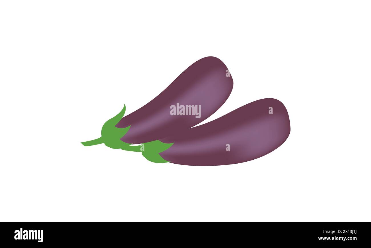 Brinjal or begun Cut Out Stock Images & Pictures - Alamy