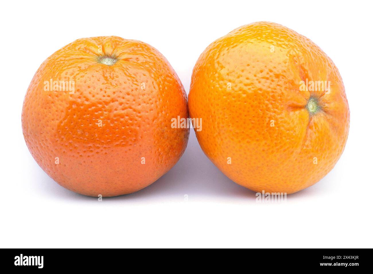 Mandarin (Citrus reticulata), Rutaceae. Also known as tangerines or ...