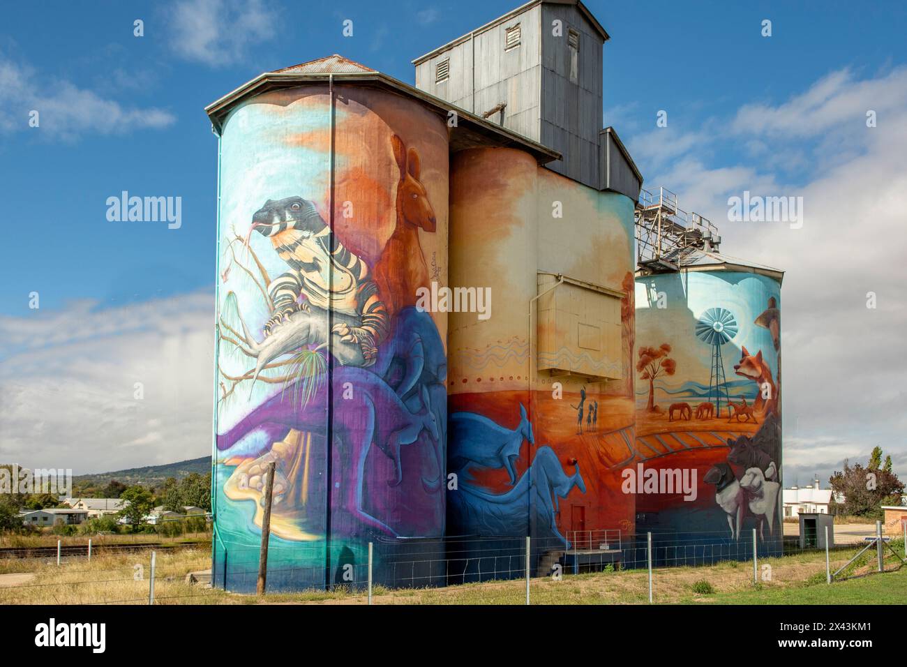 Silo Art by Peter Ryan, Quirindi, NSW, Australia Stock Photo - Alamy